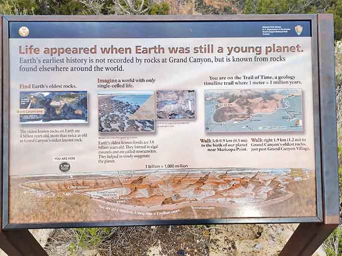 A billion years of Earth's history summarized on one sign, making every school textbook feel suddenly inadequate.