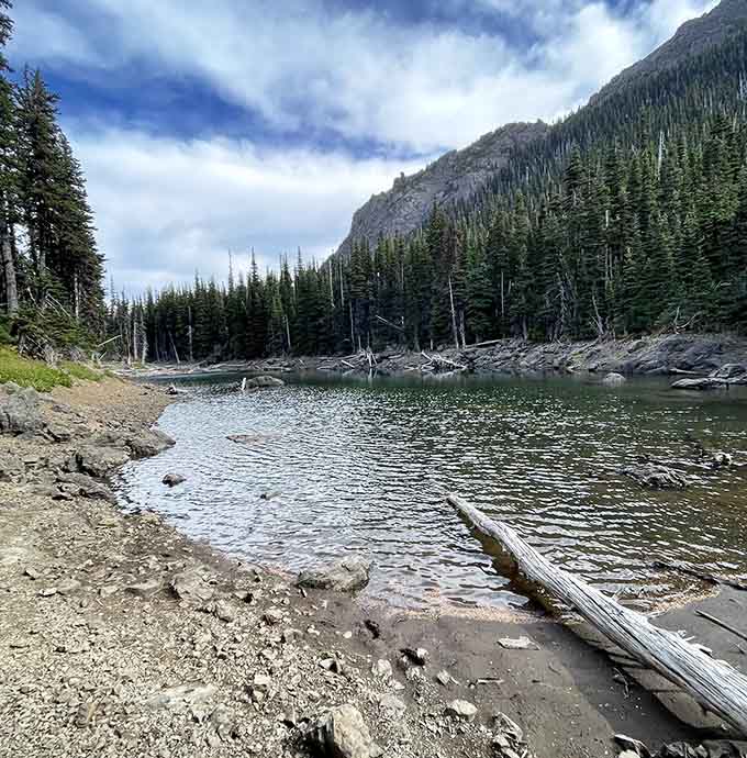 Buckhorn Lake sits at the end of the trail like a reward you actually earned with your own two feet.