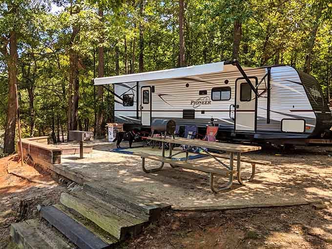 A well-loved campsite with a picnic table, tall pines, and a dog who clearly approves of the accommodations.