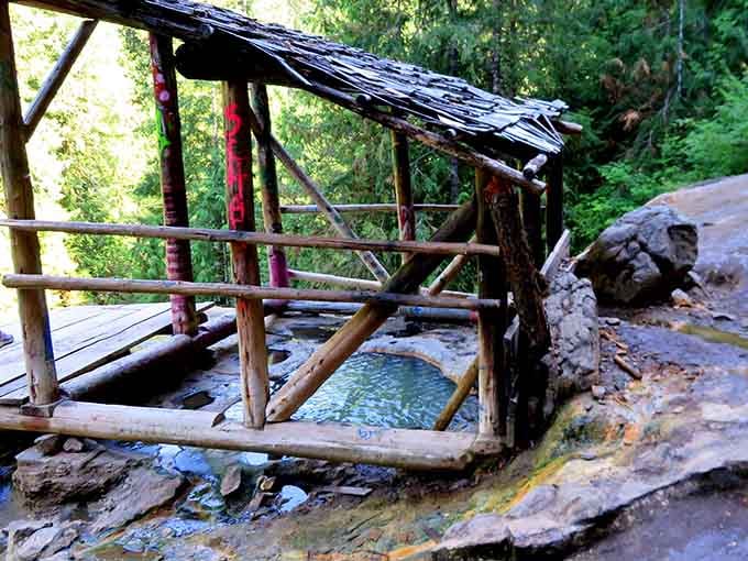 A rustic wooden shelter covers one pool, proving even nature appreciates a little shade.