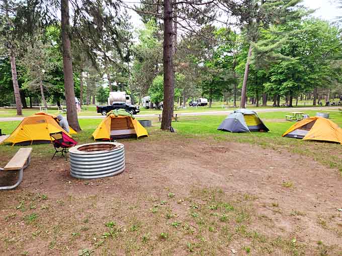 Camping here means waking up to pine-scented air and the kind of peace that makes you forget what day it is.
