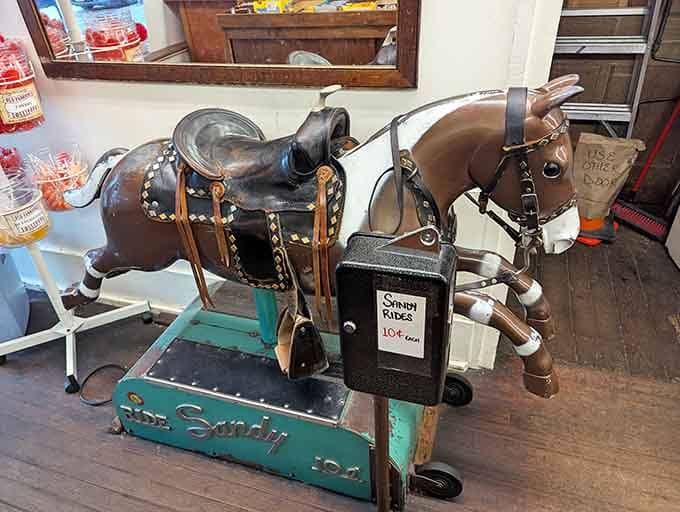 Meet Sandy, the coin-operated pony who's been giving ten-cent rides and stealing hearts for generations of delighted kids.