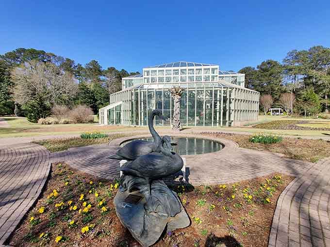 The Cecil B. Day Butterfly Center's glass conservatory rises like a cathedral built entirely in honor of beautiful, fluttering things.