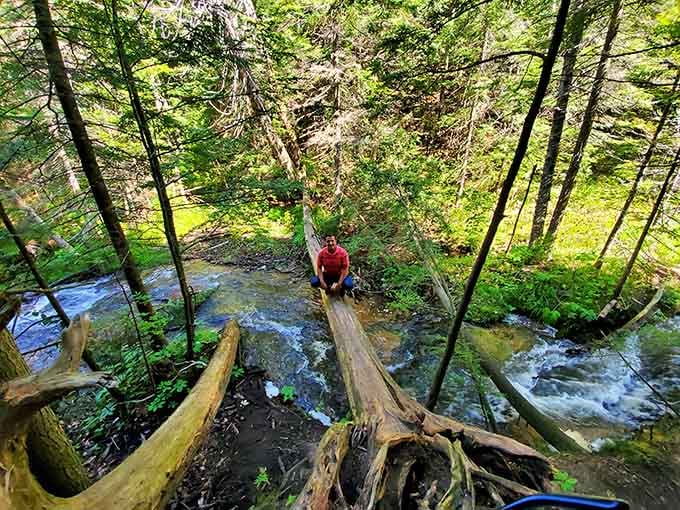 Someone found the best seat in the house, perched on a fallen log above Wagner Creek.