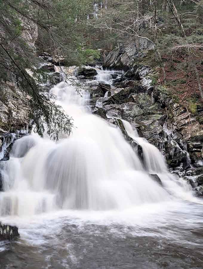 Spring runoff transforms the falls into a thundering powerhouse that demands your full attention.