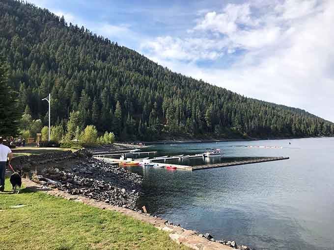 Those docks have seen countless summer days, fishing lines, and probably a few "I swear it was this big" stories.