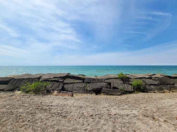 Nature's own breakwater, providing character and protection in equal measure along the shore.