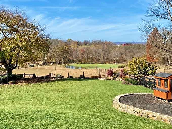 Ponds, fences, rolling fields, and autumn color. This Loudoun County landscape didn't need a filter, not even a little one.