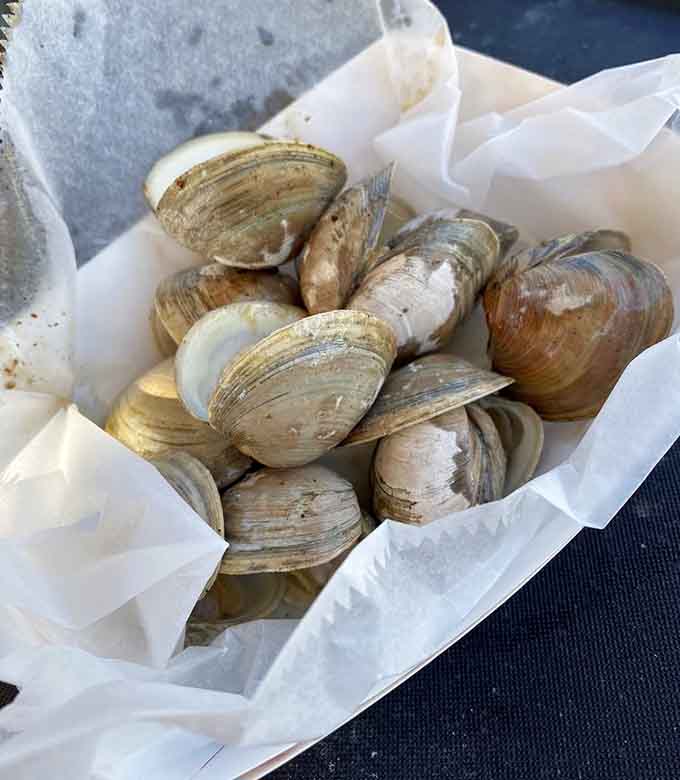 A basket of steamed littleneck clams, fresh and briny. This is what eating close to the source tastes like.