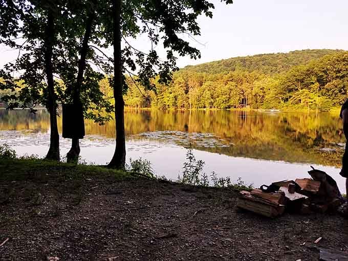 Golden hour transforms the lake into liquid gold, making even amateur photographers look like they know what they're doing.