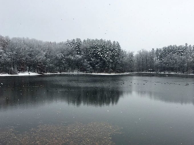 Even in winter, the lake at Waubeeka has a quiet dignity that makes you want to stay longer.