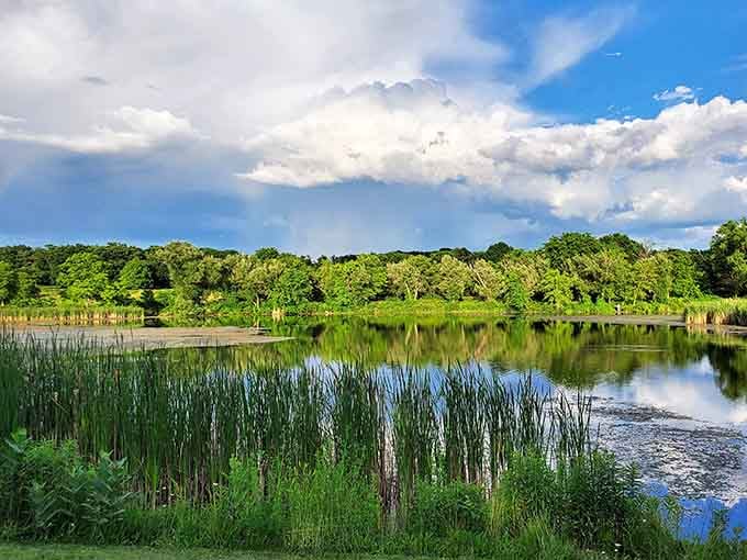 Lakewood Forest Preserve mirrors the sky so perfectly you'll spend ten minutes just standing there, completely forgetting your phone exists.