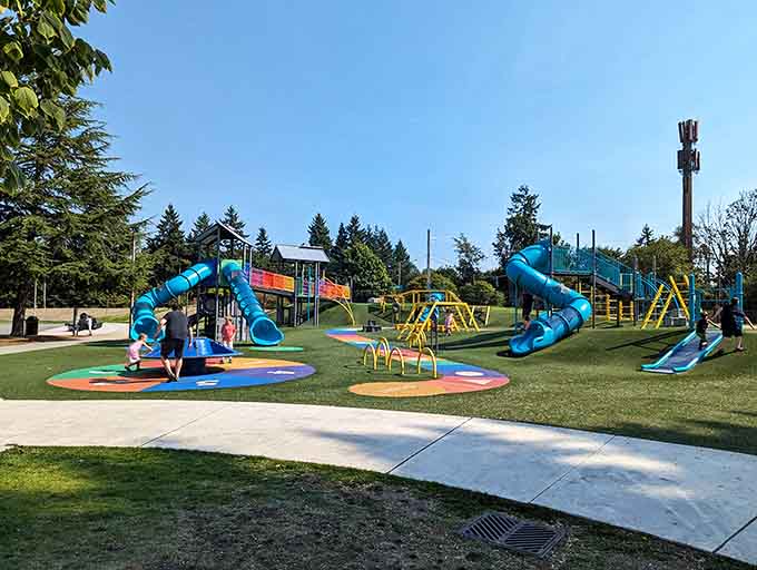 Blue skies, green turf, and teal slides everywhere you look, this is what a perfect Washington afternoon actually looks like.