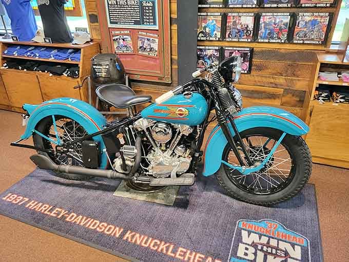 That turquoise 1937 Harley-Davidson Knucklehead sitting center stage is the kind of blue that makes you forget every other color exists.