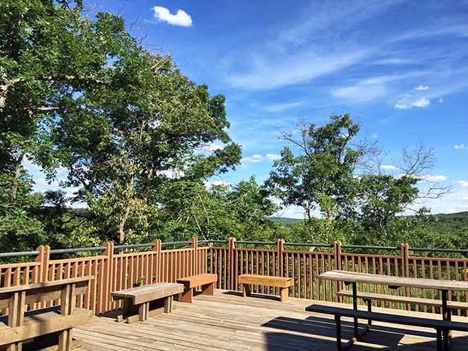 This elevated deck overlooks a sea of summer green so vast it makes your everyday worries feel genuinely tiny.