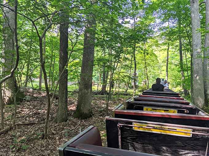 The train ride through the woods is the most peaceful two minutes you'll spend all day.