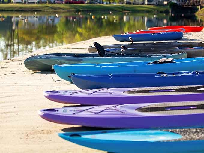 A lineup of kayaks on the sand, each one a small invitation to go explore something wonderful on the water.