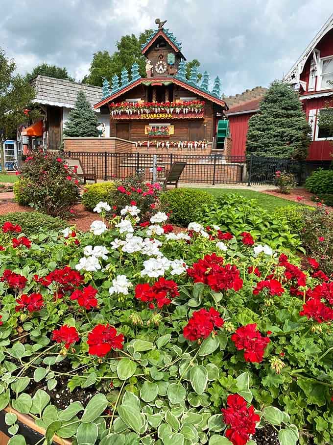 Red and white geraniums spilling everywhere, with the world's most famous clock standing proud behind them.