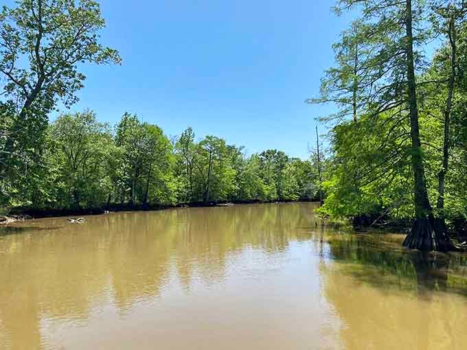 Cypress trees rise from the warm, tea-colored water of Big Thicket like quiet sentinels guarding a very old secret.