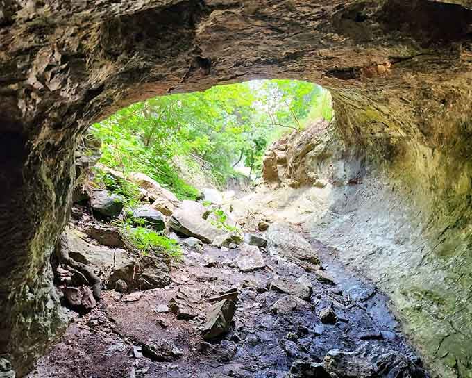 Green light pours through a natural rock opening at Colorado Bend, framing the wild Hill Country like a masterpiece.
