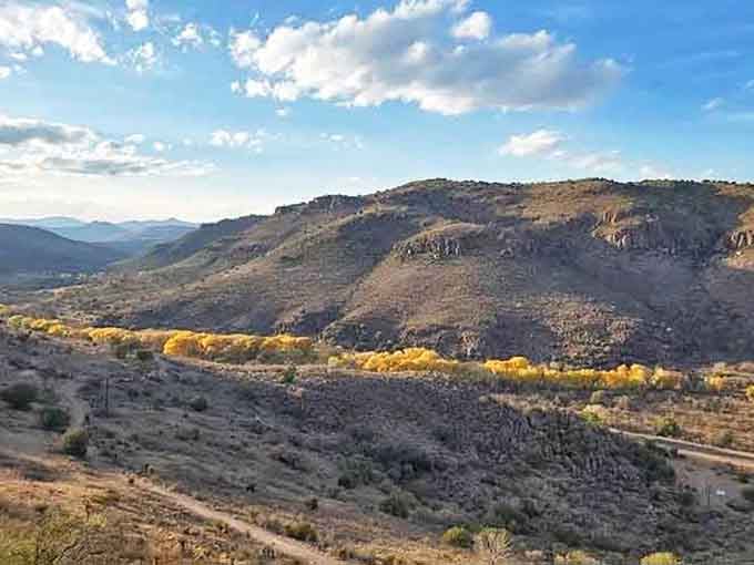 Golden cottonwoods line the valley floor like nature's own welcome mat, glowing warmly against the rugged mountain backdrop.