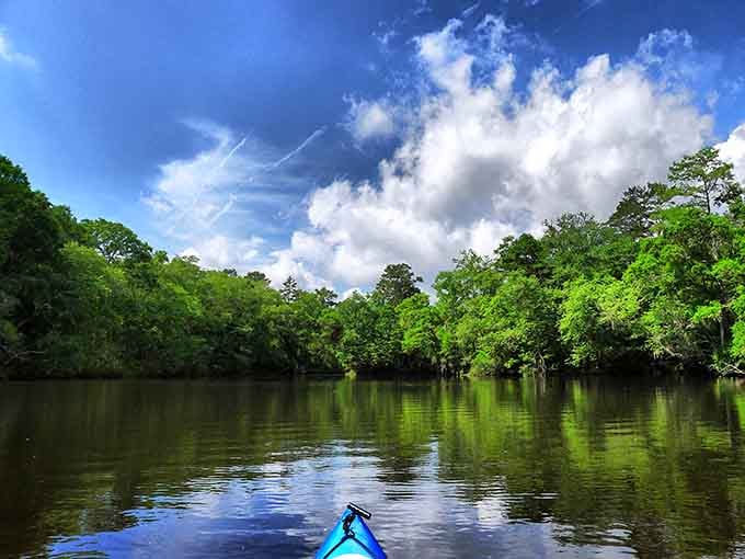 A kayak pointed down the wide, cloud-reflected Edisto River is basically a personal invitation to forget every worry you have.