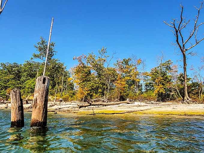 Weathered pilings rise from turquoise water like sentinels guarding secrets of shorelines long forgotten.