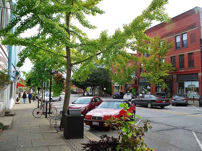 Oberlin's tree-lined downtown sidewalks and warm brick storefronts invite you to slow down, wander in somewhere, and stay a little longer.