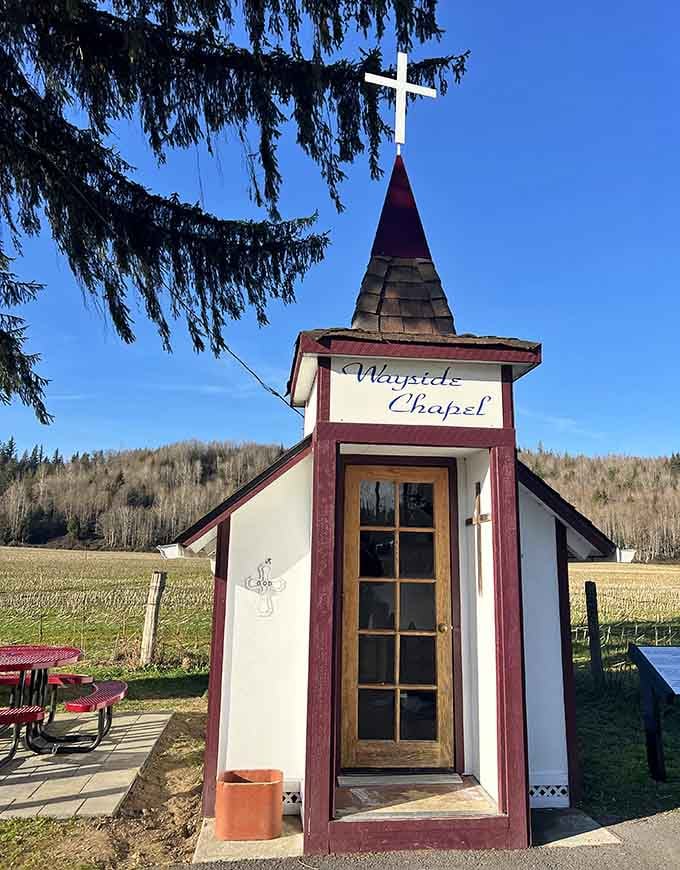 Tiny steeple, bold white cross, and a wooden door wide open to the world, this roadside chapel fits big comfort into a very small package.