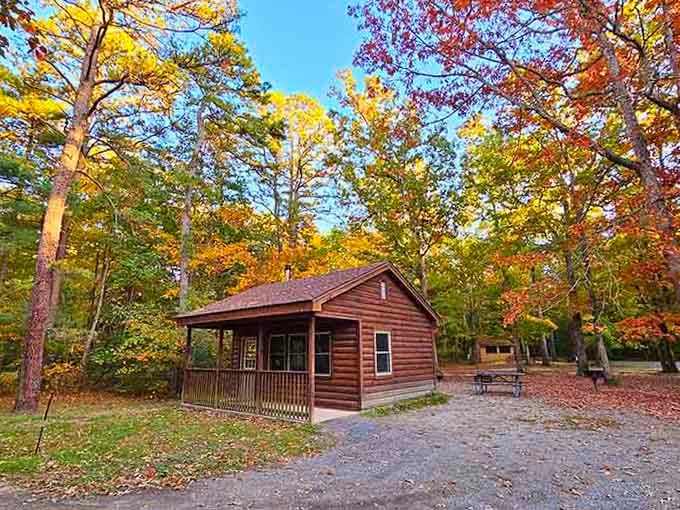 Tucked beneath a blazing canopy of fall color, this Belleplain cabin is basically a postcard that you can sleep in.