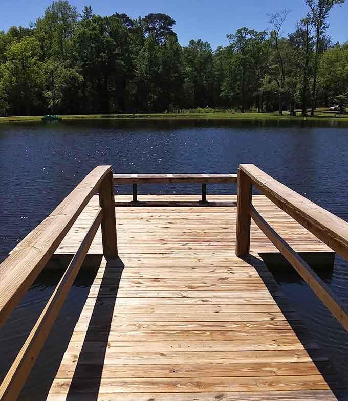 Fresh lumber, warm sunshine, and a sparkling Blue Springs pond ahead &mdash; this dock looks ready for its very first fishing story.