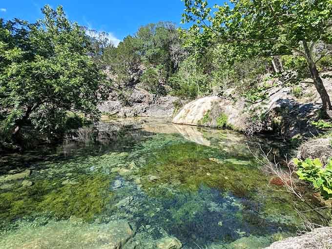 That impossibly clear swimming hole at Colorado Bend looks like someone filled a rock bowl with liquid glass.