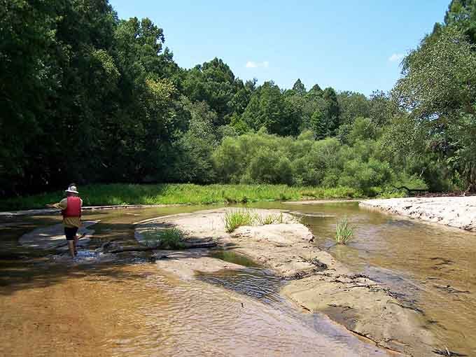 Wading the shallow, sun-warmed shoals of the Edisto River on a summer afternoon is the definition of a perfect day.