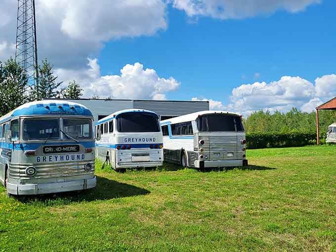 Three classic Greyhound coaches lined up under a big blue sky, still looking ready to roll after all these years.
