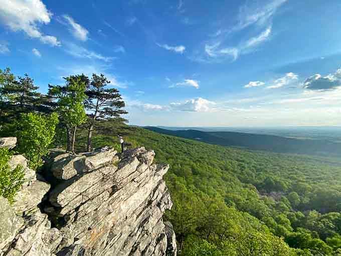 That jagged rock outcropping jutting boldly over a sea of lush green forest proves South Mountain's ridgeline is absolutely worth every uphill step.