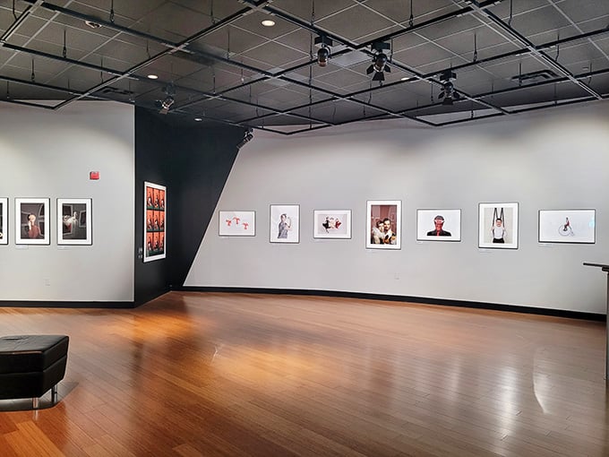 Framed photographs stretch across a curved gallery wall, each image a frozen moment that somehow feels more alive than the room around it.