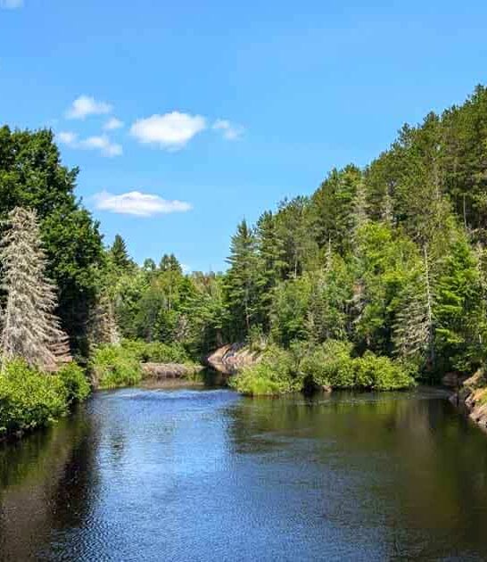 acre park michigan dream ftr