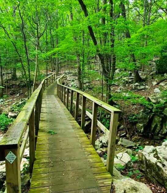 alabama trail bridge waterfalls ftr
