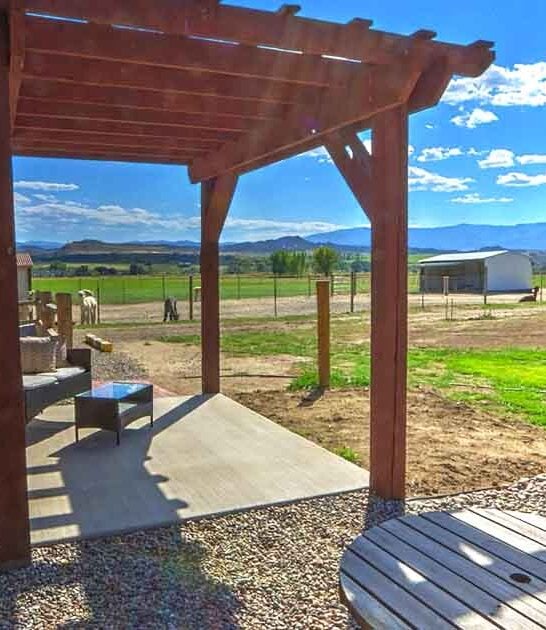 alpaca airbnb stay colorado ftr