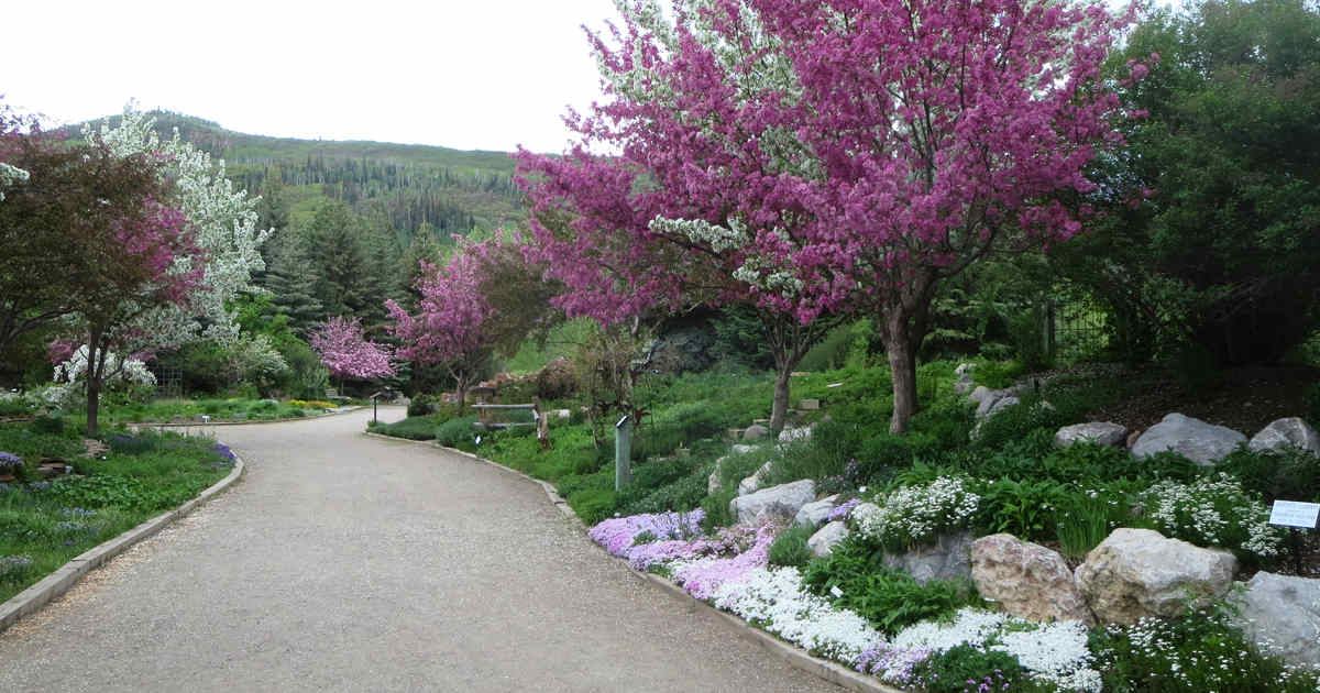 You Wont Believe These 7 Amazing Outdoor Adventures In Colorado Are