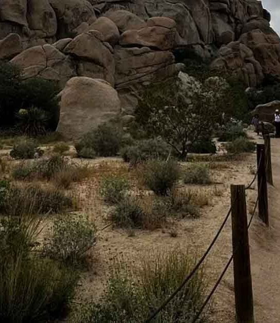 another planet loop california ftr