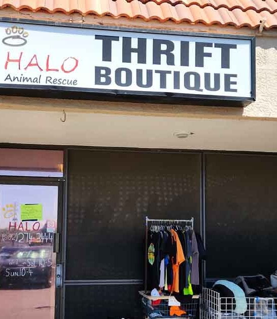 arizona hidden boutique treasures ftr