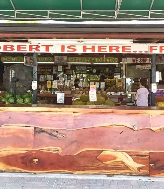 best milkshake stand florida ftr