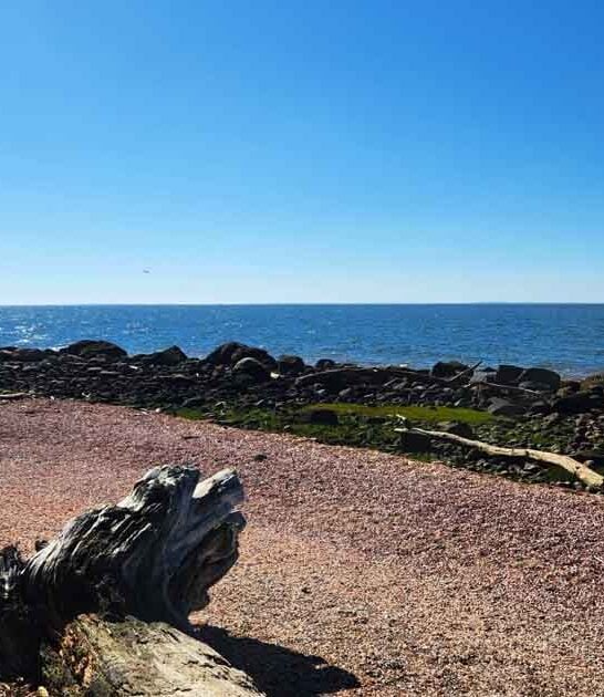 best park beaches connecticut ftr