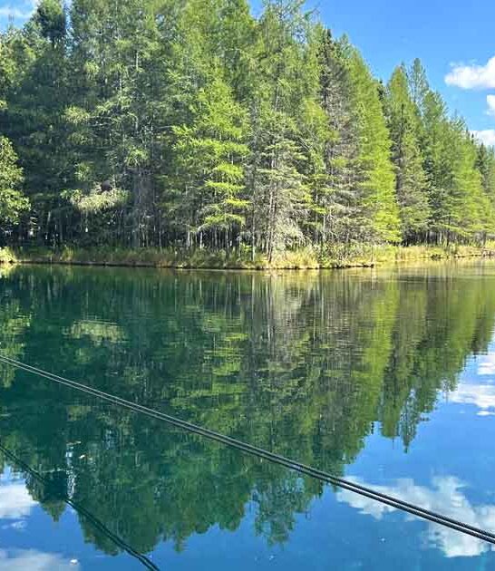 breathtaking natural spring michigan ftr