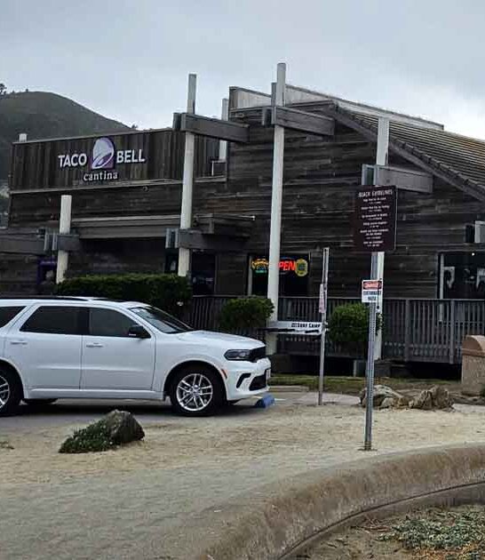 california extraordinary taco bell ftr