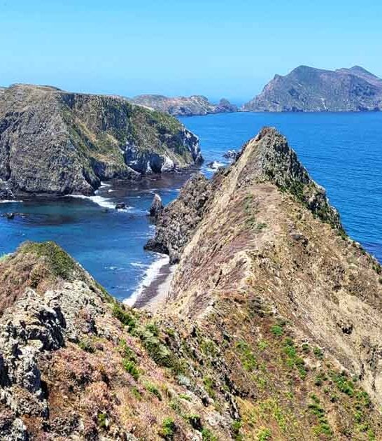 california own galapagos islands ftr