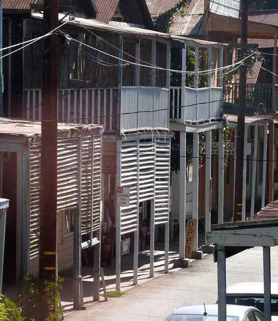 chinese immigrant town california ftr