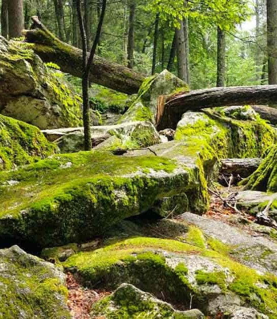Escape To This Secret State Park In Connecticut That Feels Like Another World