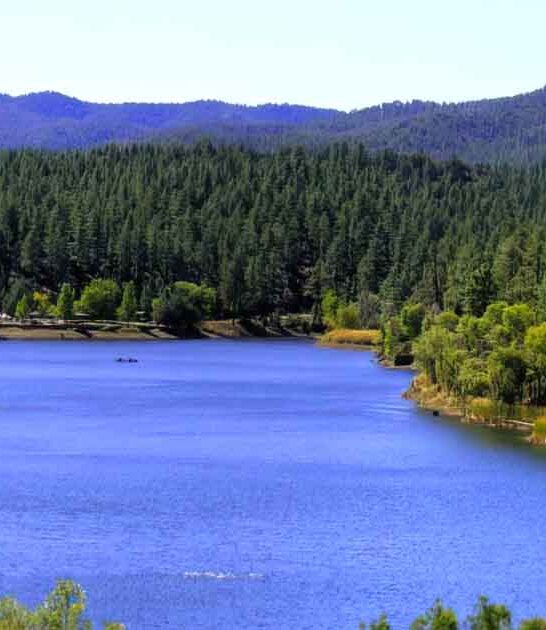 crystal clear lakes arizona ftr